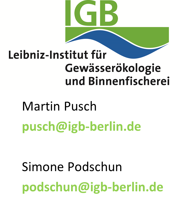 Project Structure – Resi (EN)